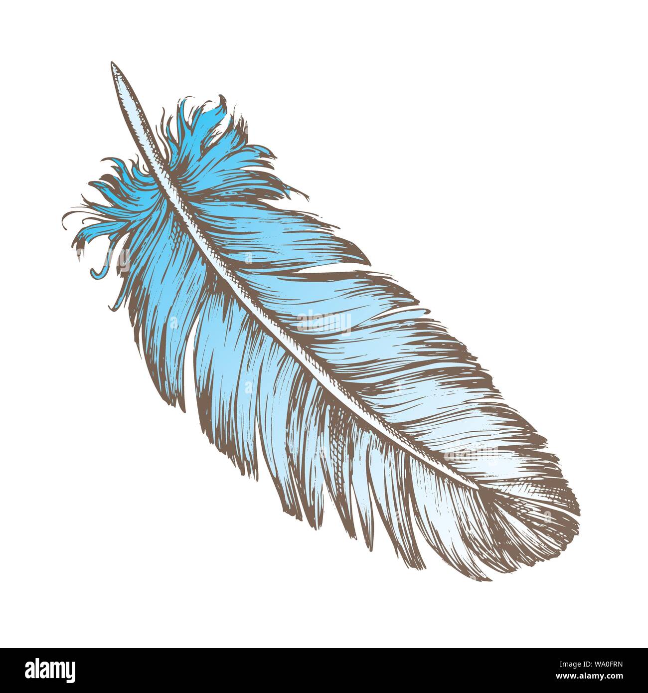 Feather Sketch Feather Draw In 3D