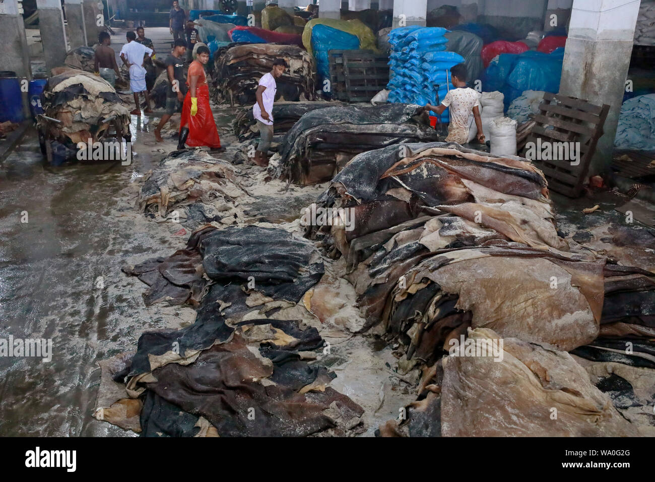 Dhaka, Bangladesh - August 16, 2019: Bangladeshi tannery workers ...