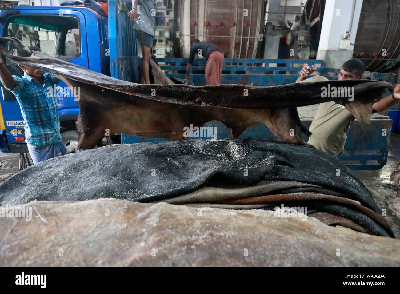 Dhaka, Bangladesh - August 16, 2019: Bangladeshi tannery workers ...