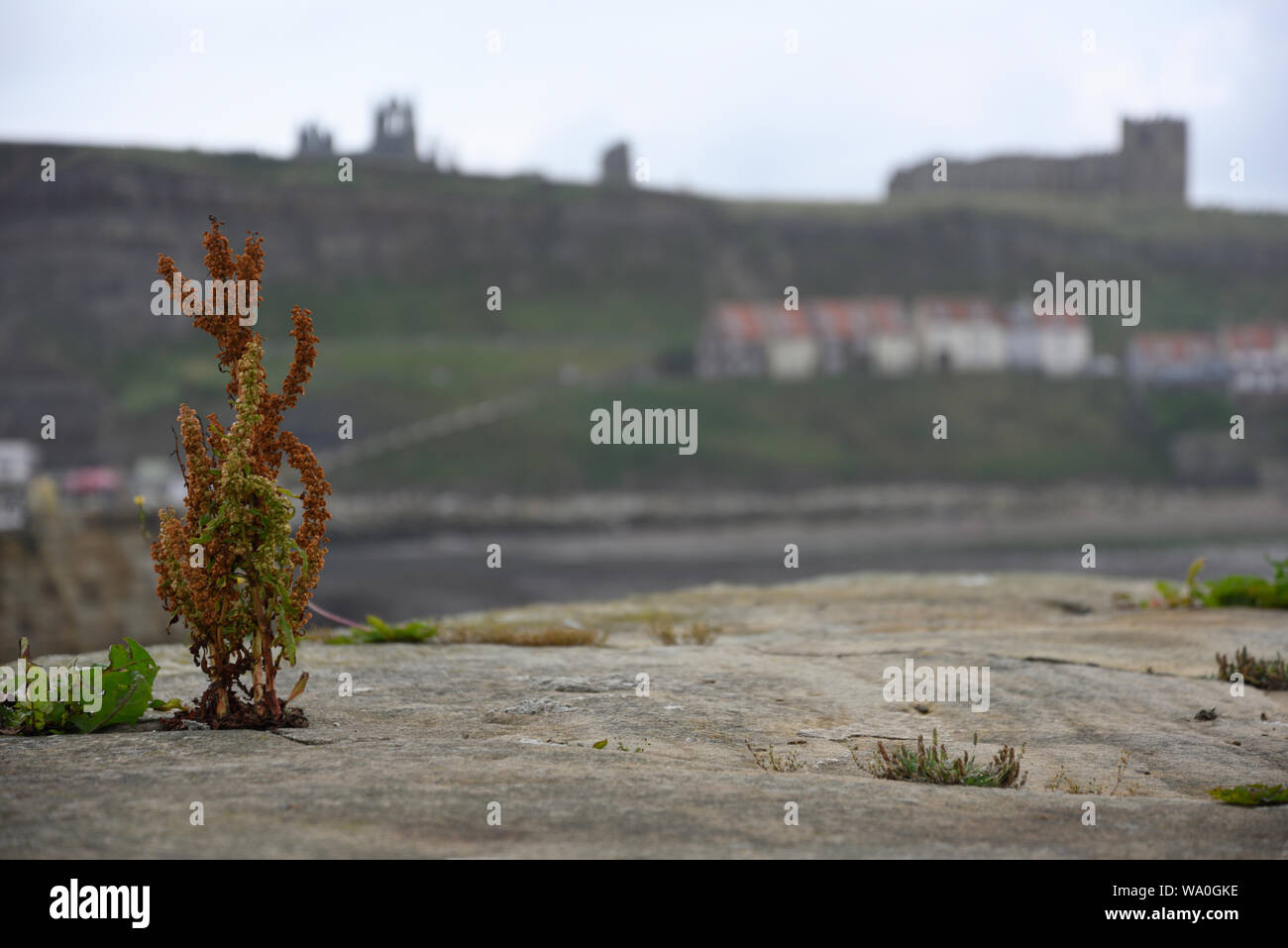 Whitby and it's harbour views Stock Photo - Alamy
