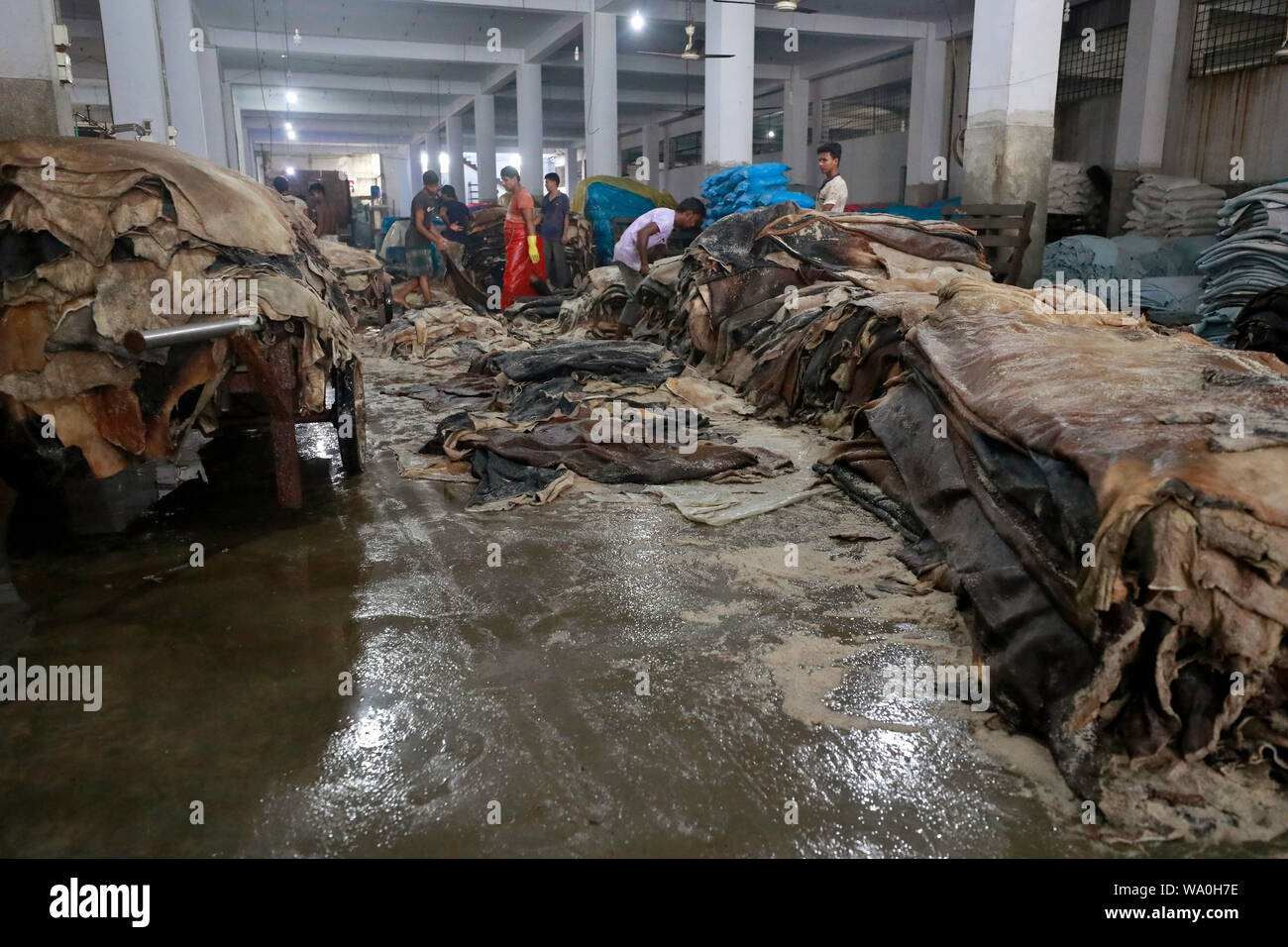 Dhaka, Bangladesh - August 16, 2019: Bangladeshi tannery workers ...