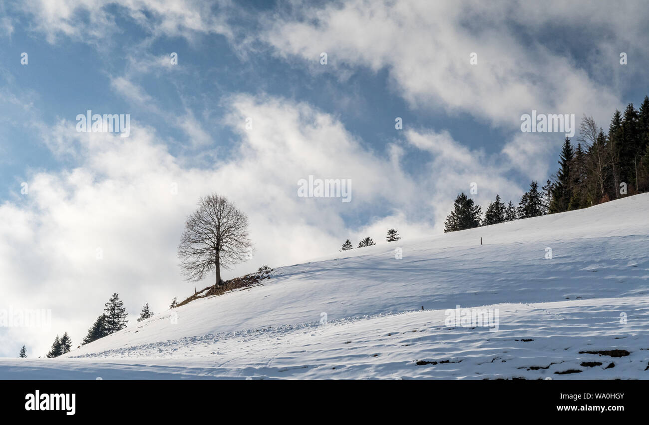 Winter in Trub Dorf im tiefverschneiten Emmental Stock Photo - Alamy