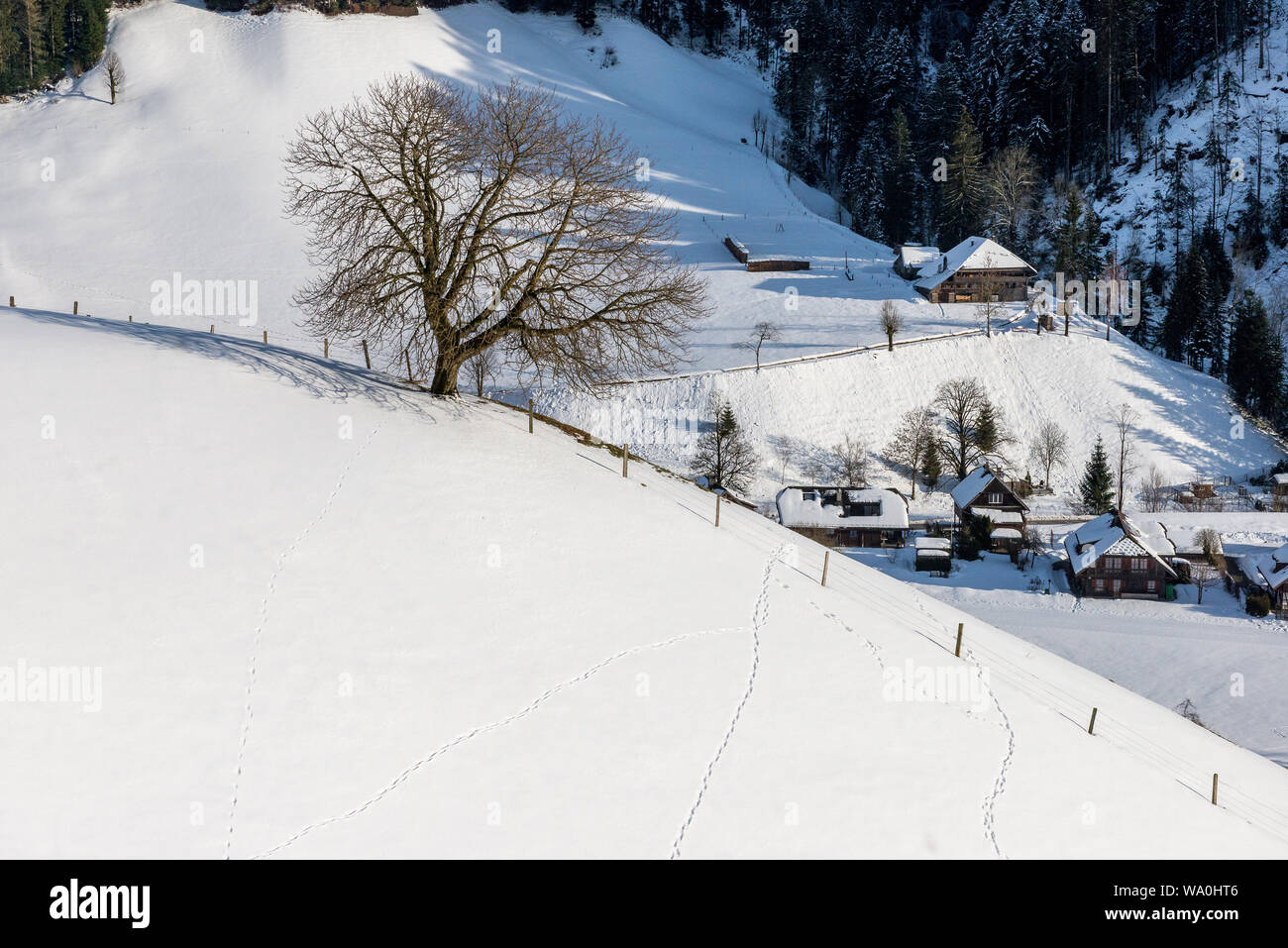 Winter in Trub Dorf im tiefverschneiten Emmental Stock Photo - Alamy