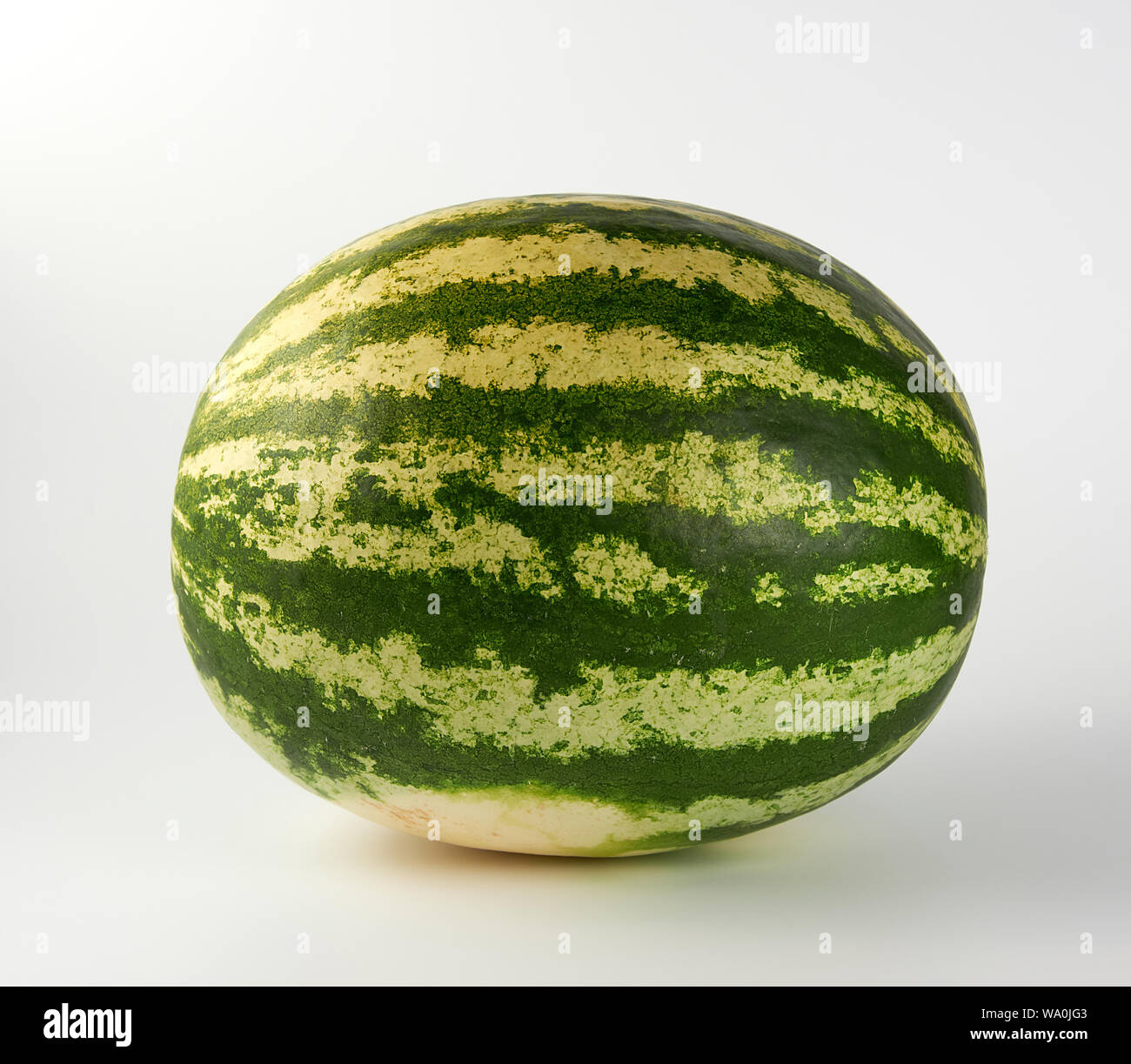 big green striped whole watermelon on a white background, summer berry ...