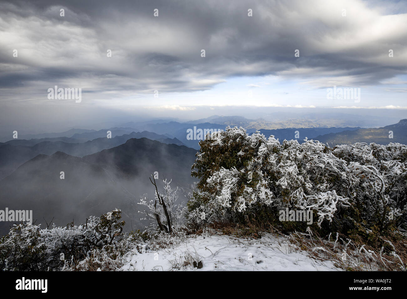 Halcyon winter hi-res stock photography and images - Alamy