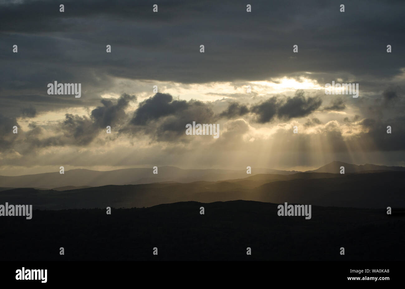 Crepuscular light rays hi-res stock photography and images - Alamy