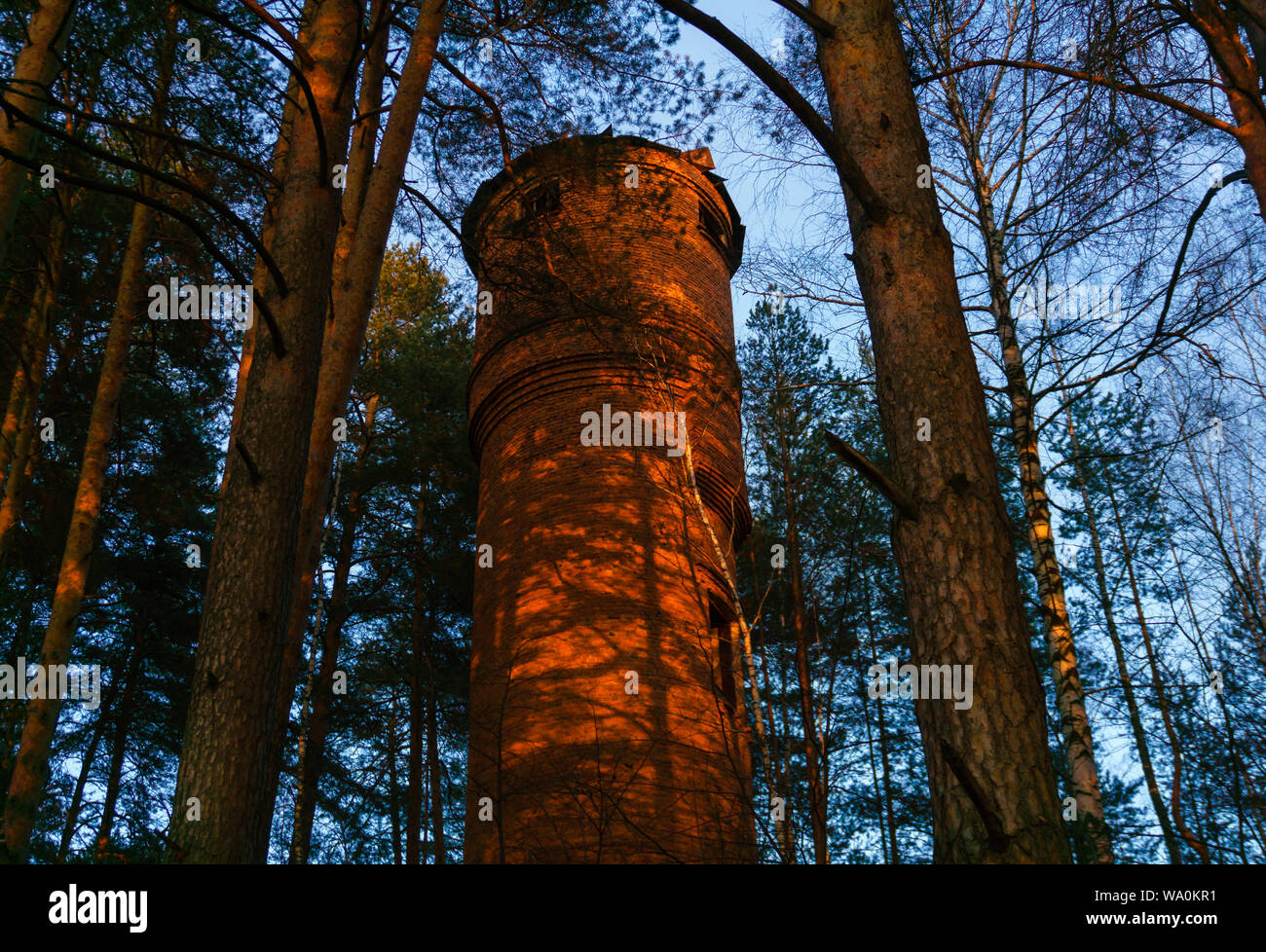old abandoned brick water tower in the forest in the evening light ...