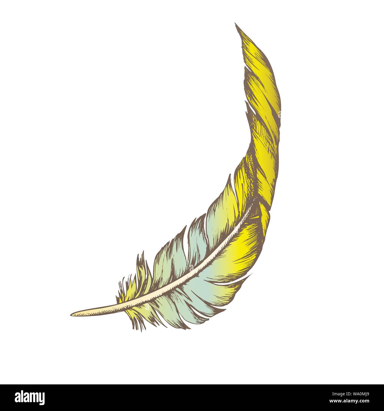 Color Decorative Bird Element Feather Vintage Vector Stock Vector Image ...