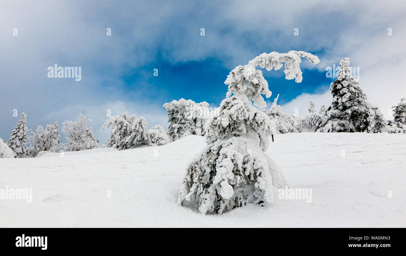 Nationarpark hi-res stock photography and images - Alamy