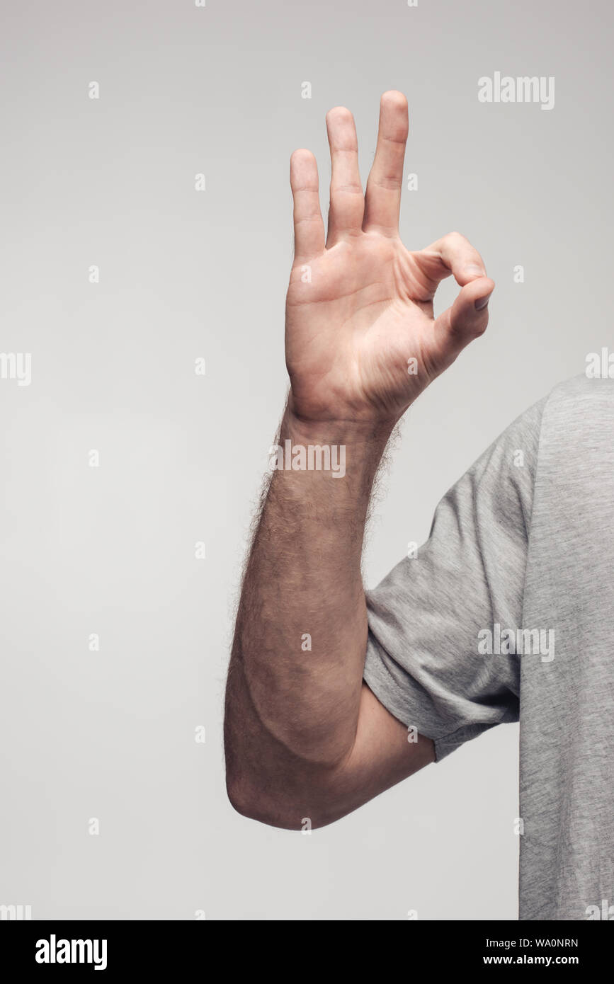 cropped view of man showing okay sign isolated on grey, human emotion ...
