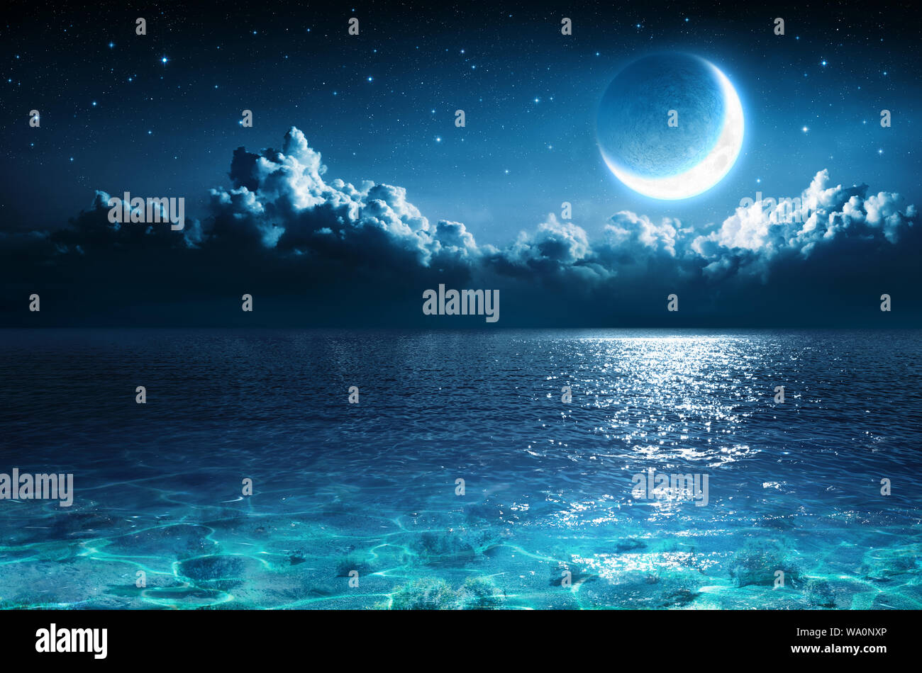 Ocean Starry Night Sky