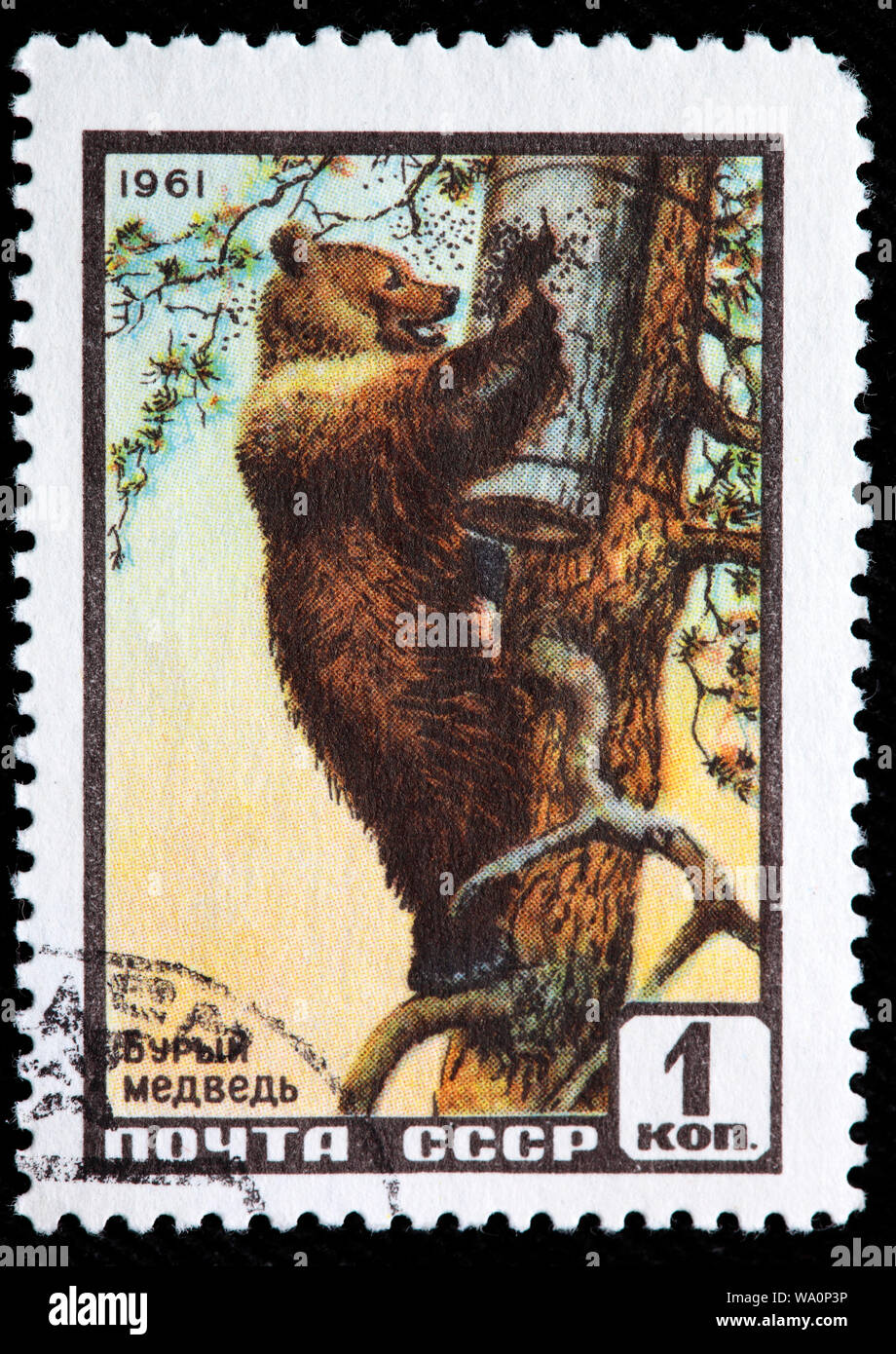 Brown Bear, Ursus arctos, postage stamp, Russia, USSR, 1961 Stock Photo ...