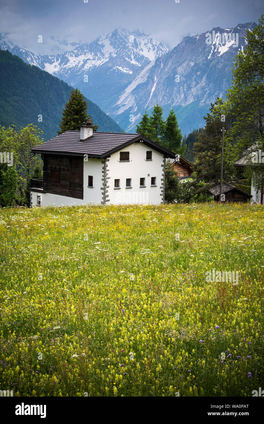 Swiss Cottage in scenic Alpine setting with meadow Stock Photo - Alamy