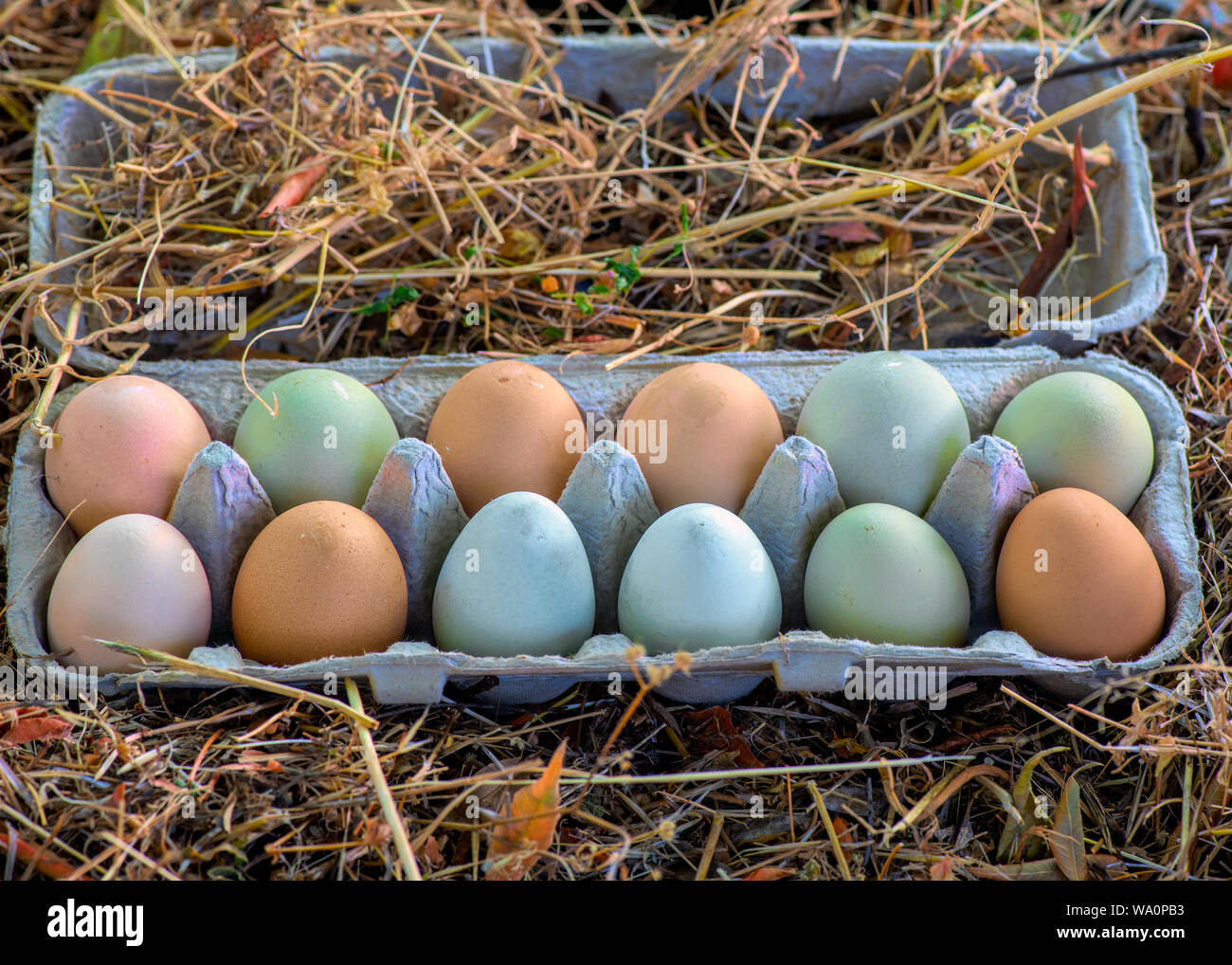 Diff sizes hi-res stock photography and images - Alamy
