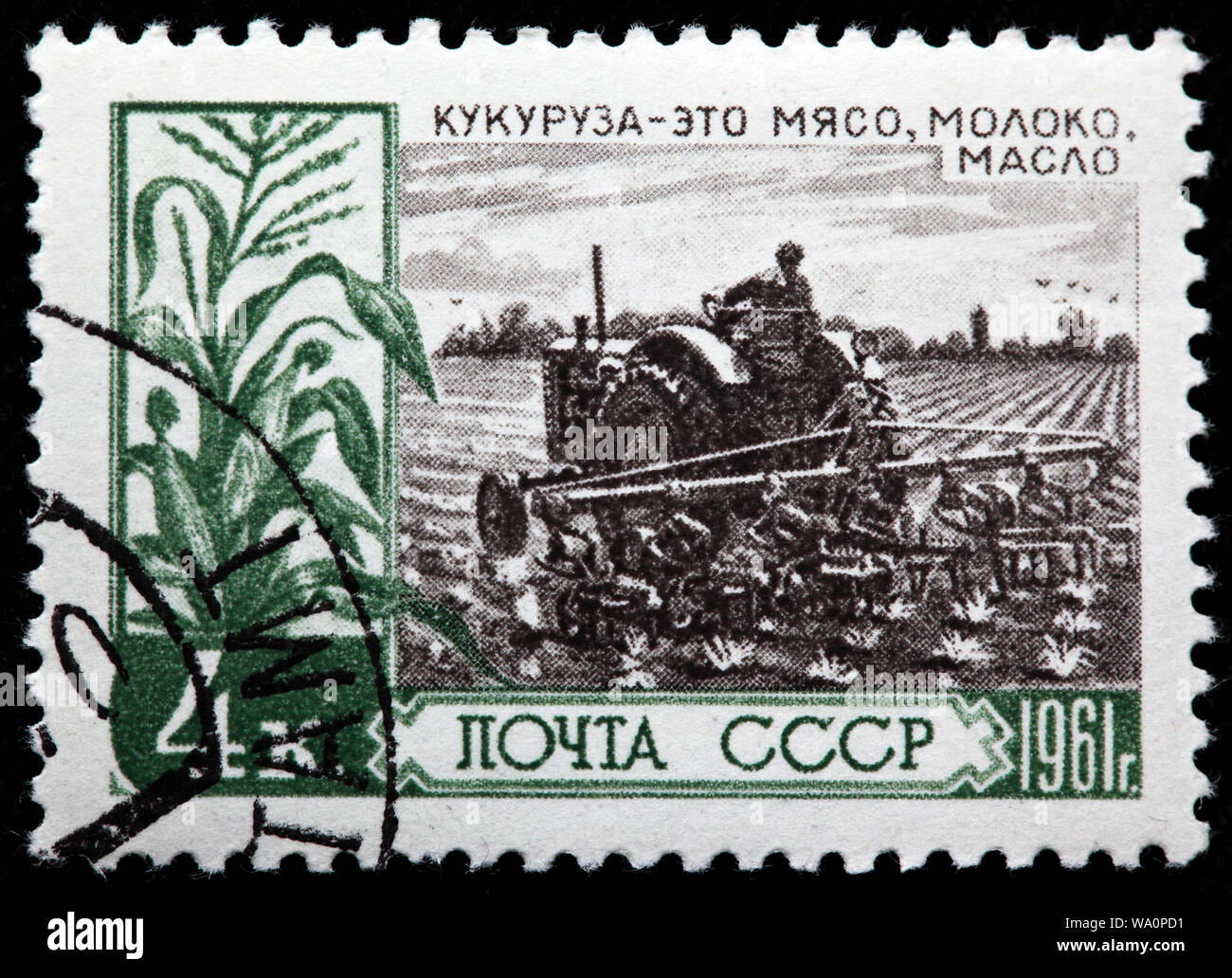 Corn field, Agriculture, postage stamp, Russia, USSR, 1961 Stock Photo ...