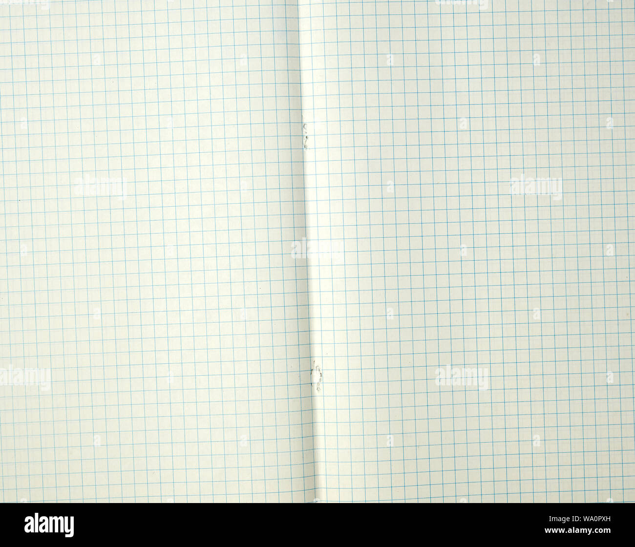 texture of an open school notebook in a cage, full frame, close up ...