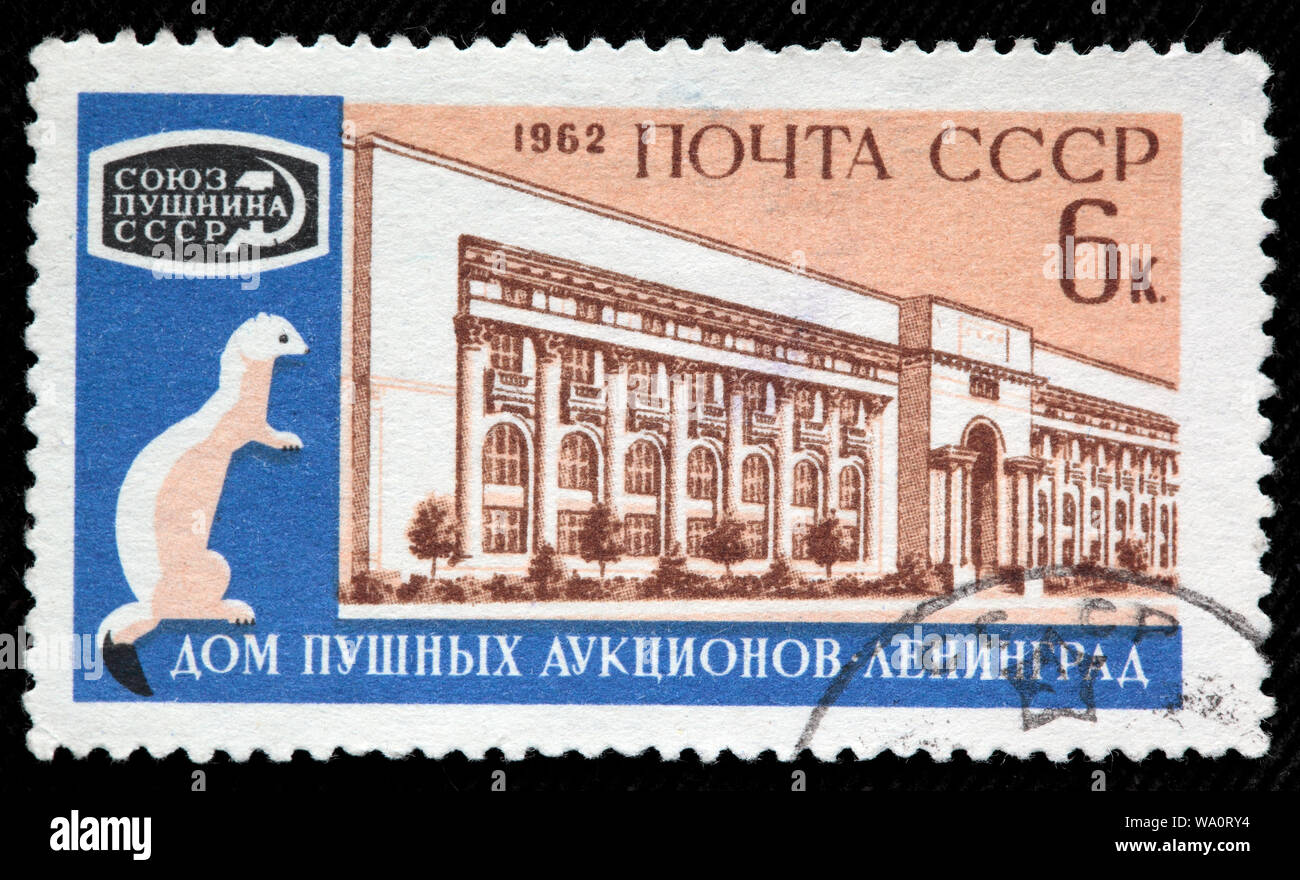 Stoat, Mustela ermina, Auction Building in Leningrad, postage stamp ...