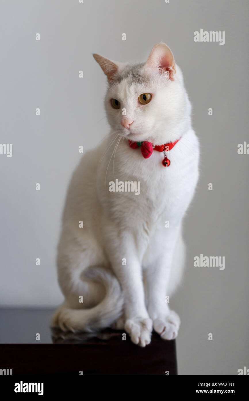 Seating position hi-res stock photography and images - Alamy