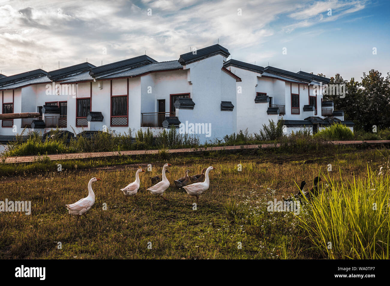Chongqing new countryside Stock Photo - Alamy