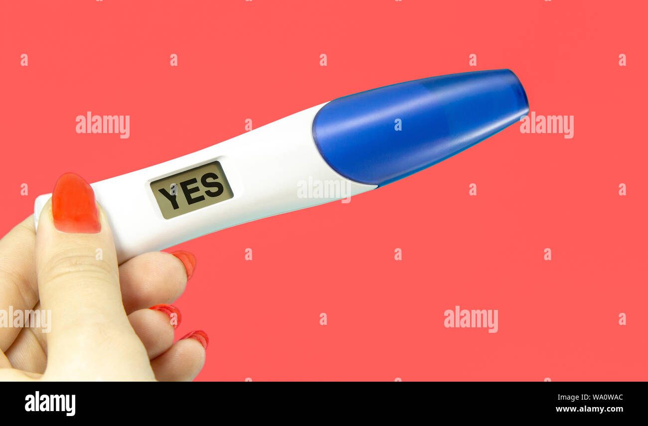 Woman hand holding digital pregnancy test isolated on red background ...