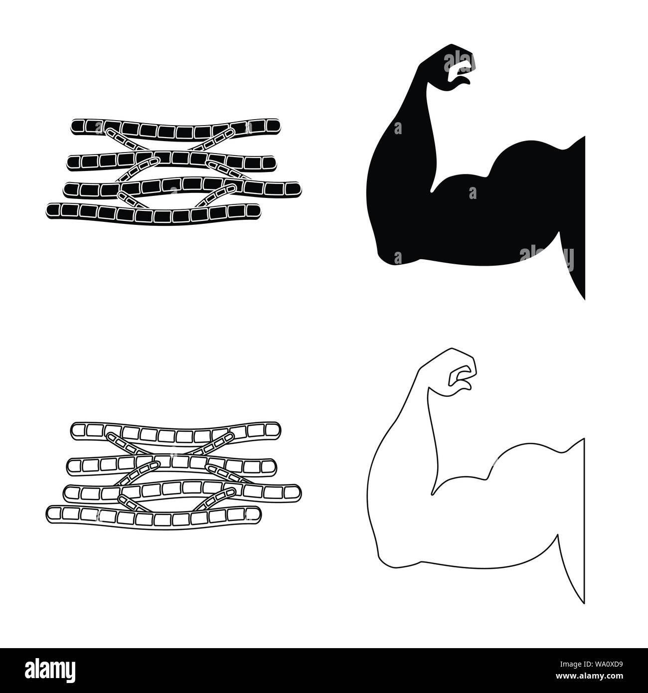 Vector design of fiber and muscular symbol. Collection of fiber and ...