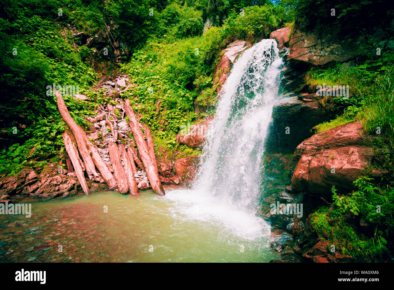 Park of waterfalls Mendeliha. Forest river and waterfall. Sochi. Rosa ...