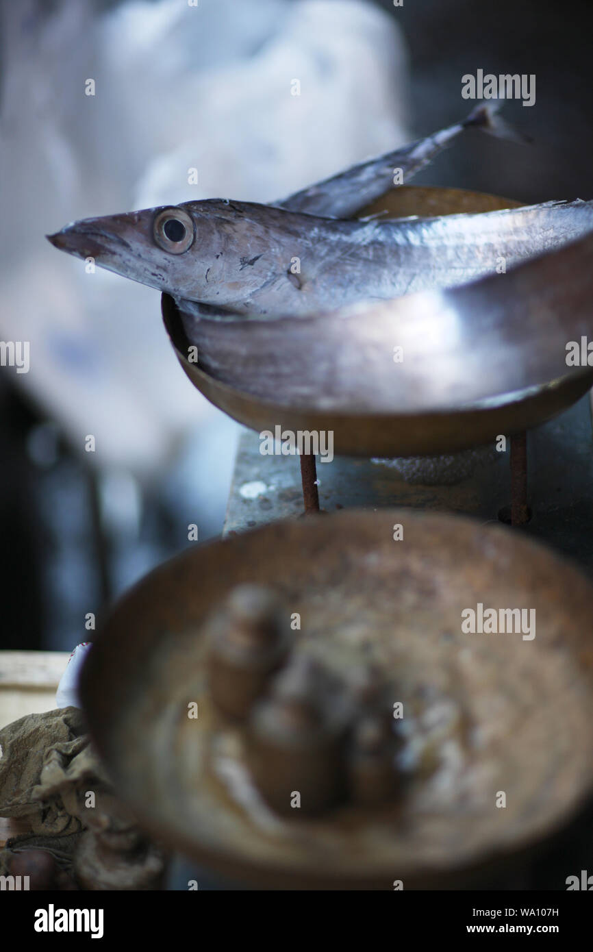 Old scales weighing fish hi-res stock photography and images - Alamy