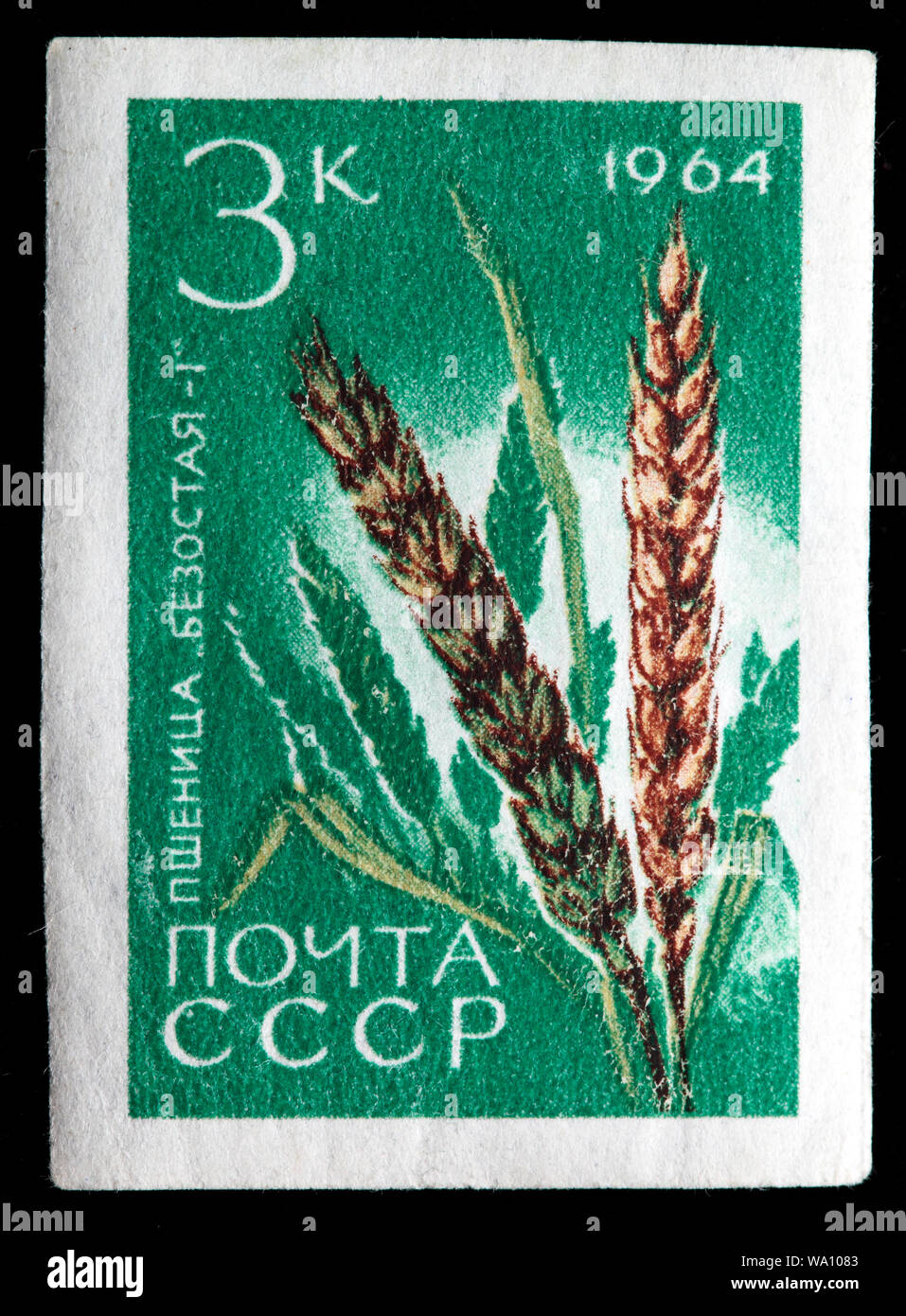 Wheat ear, postage stamp, Russia, USSR, 1964 Stock Photo - Alamy