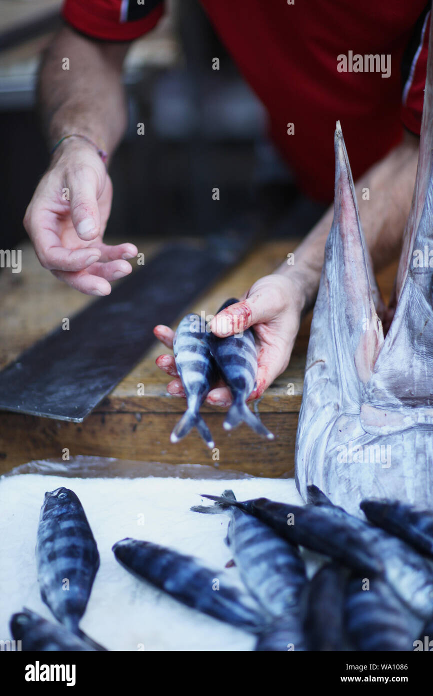 The hands of the fresh fish dealer behind the fish market counter Stock ...