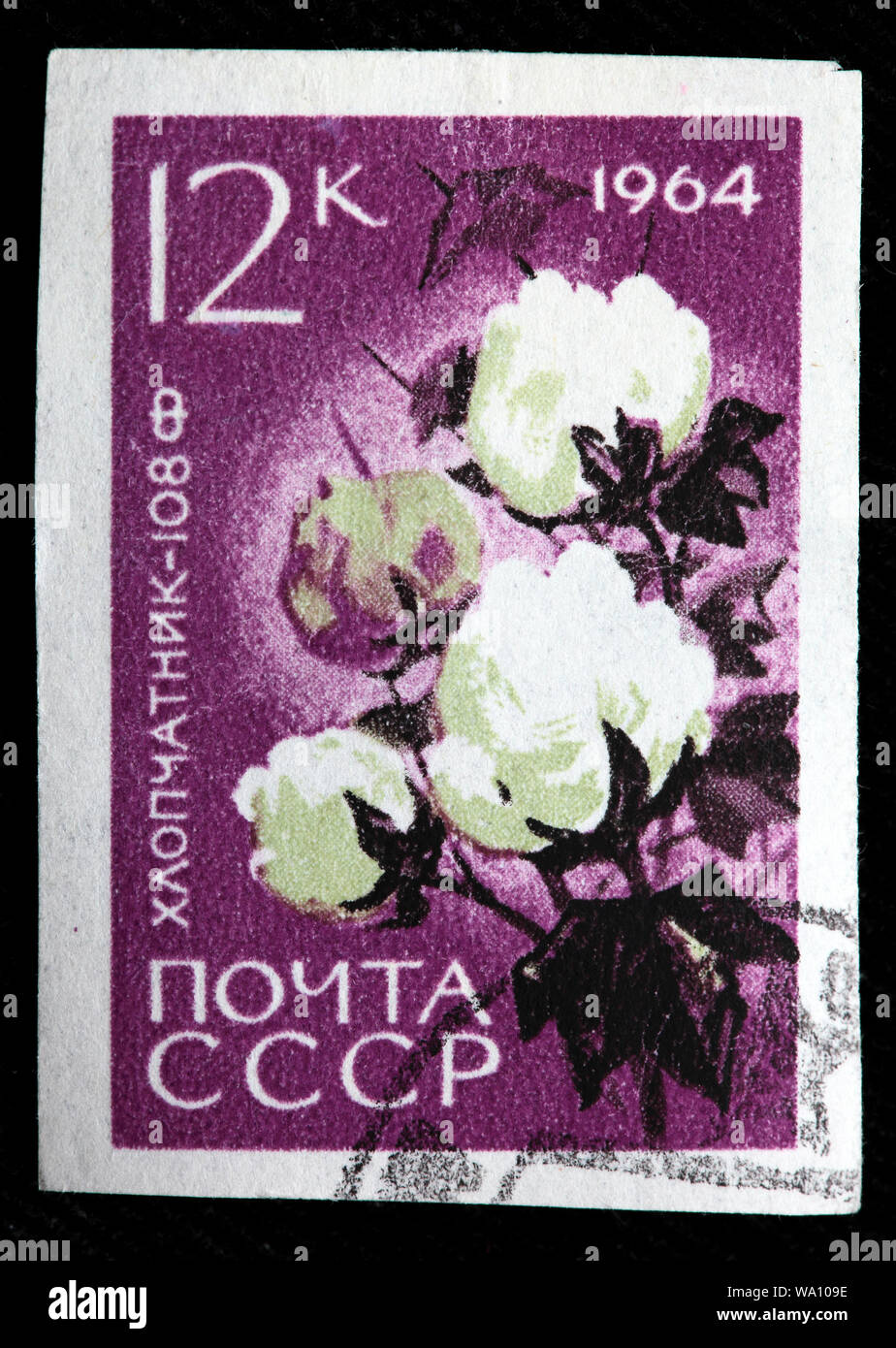 Cotton, postage stamp, Russia, USSR, 1964 Stock Photo - Alamy