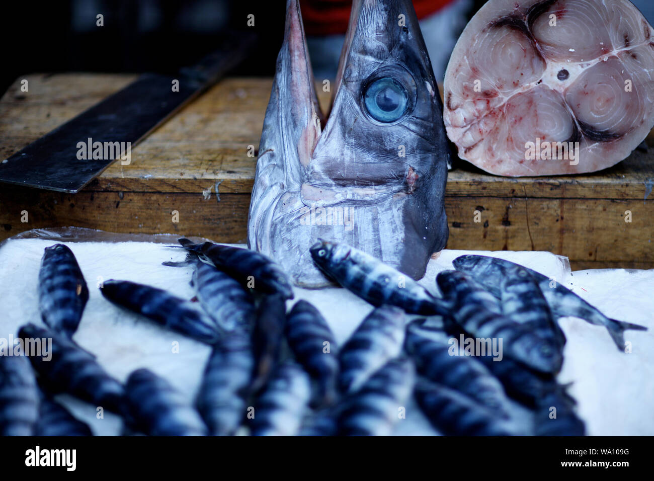Morning catch of different types of fish on the market counter Stock ...