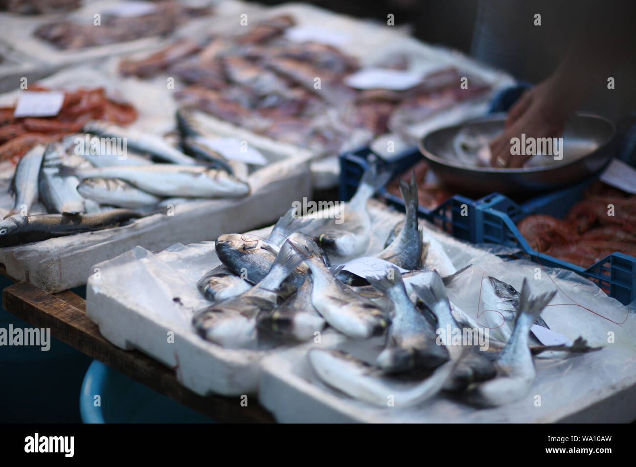 Large selection of seafood at the fish market counter Stock Photo - Alamy