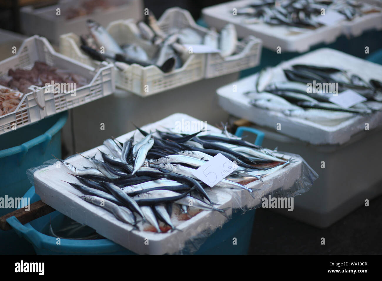 Large selection of fresh fish in boxes in the fish market Stock Photo ...