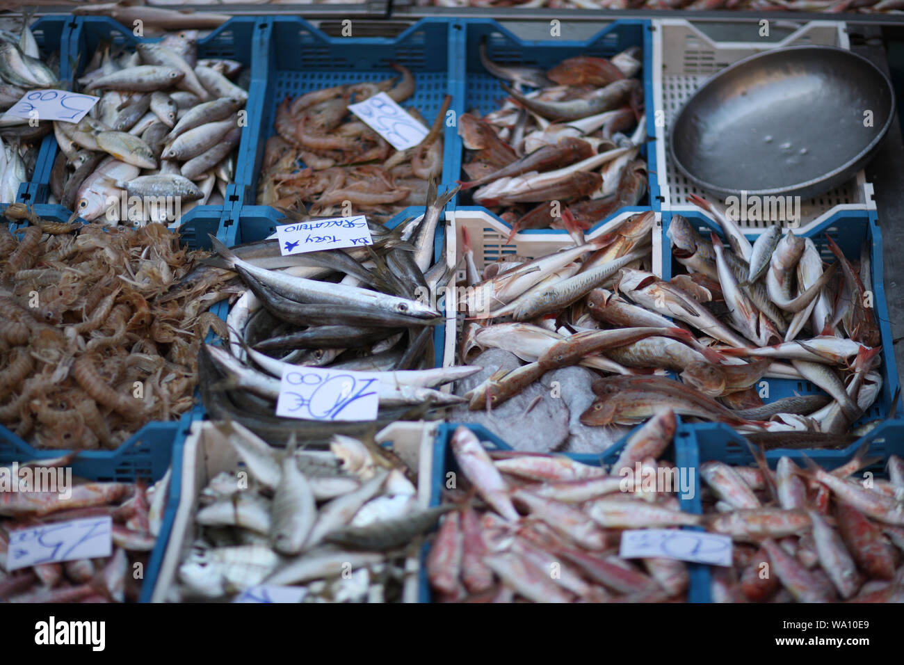 Large selection of fresh fish and seafood in boxes in the fish market ...