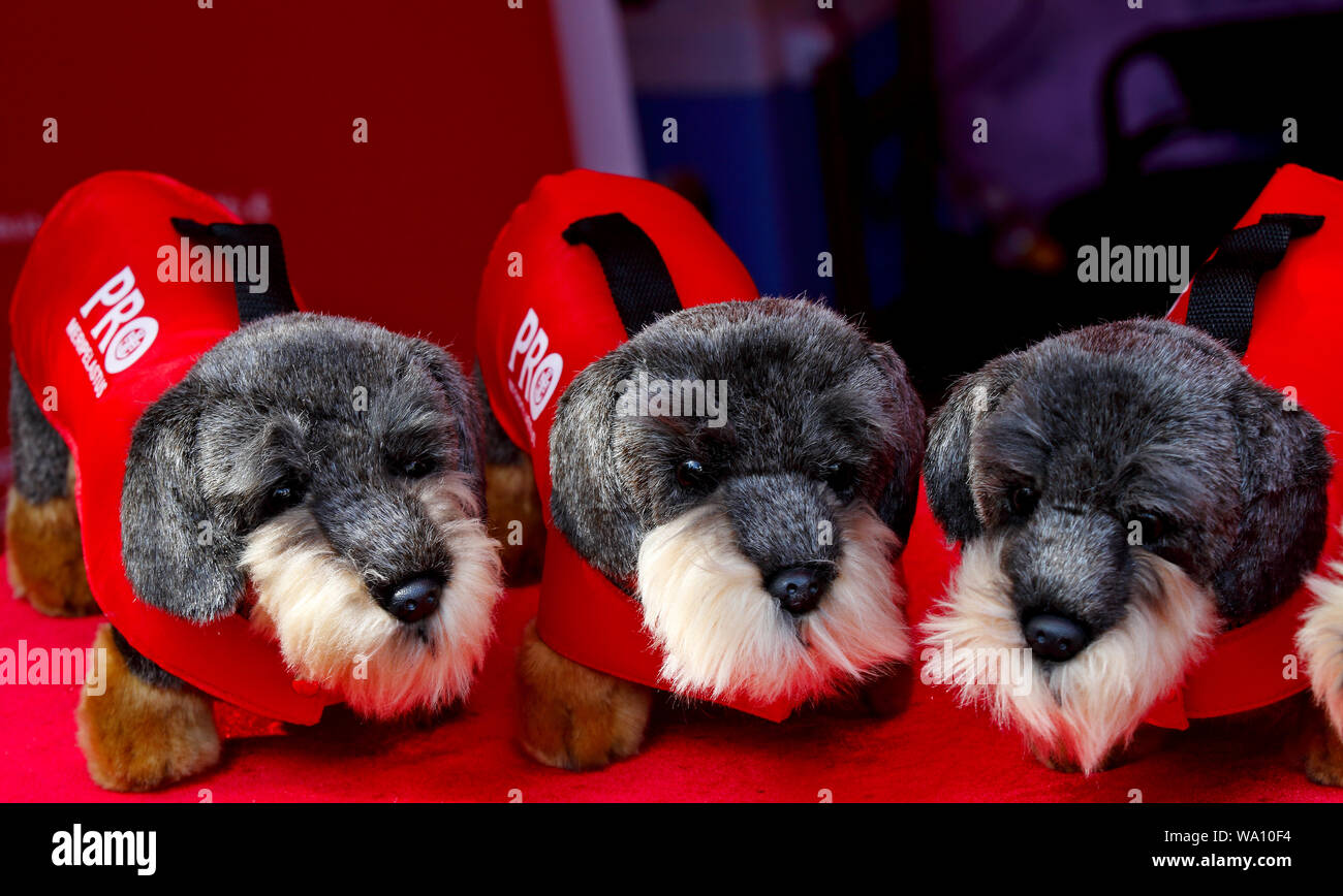 Advertisement funny hi-res stock photography and images - Alamy