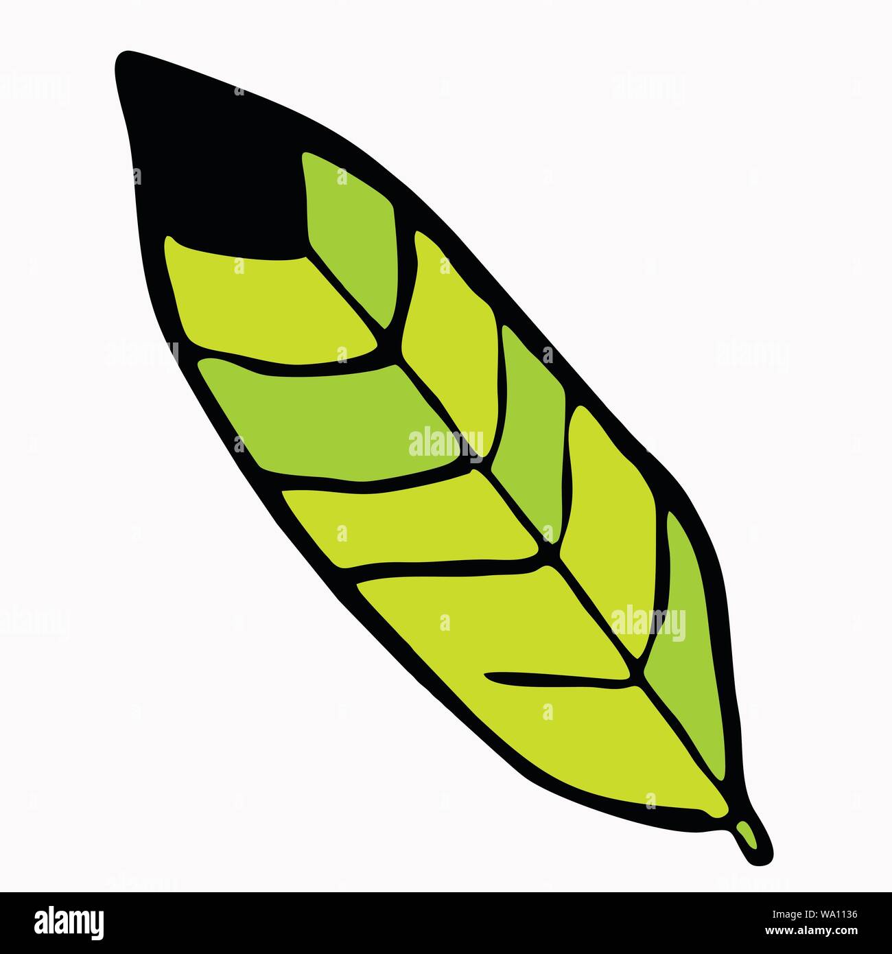 vector illustration of a leaf Stock Vector Image & Art - Alamy