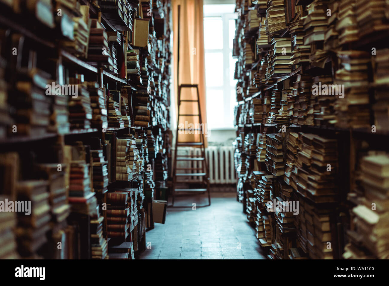 interior of library with books on wooden shelves and ledder Stock Photo ...