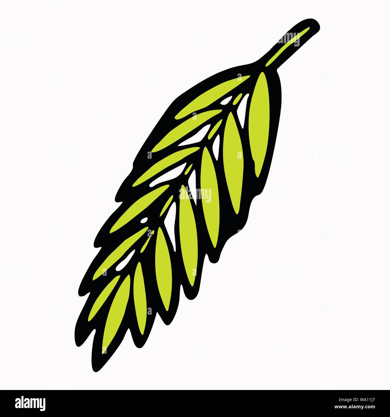 Victorian botanical illustration tree Cut Out Stock Images & Pictures ...