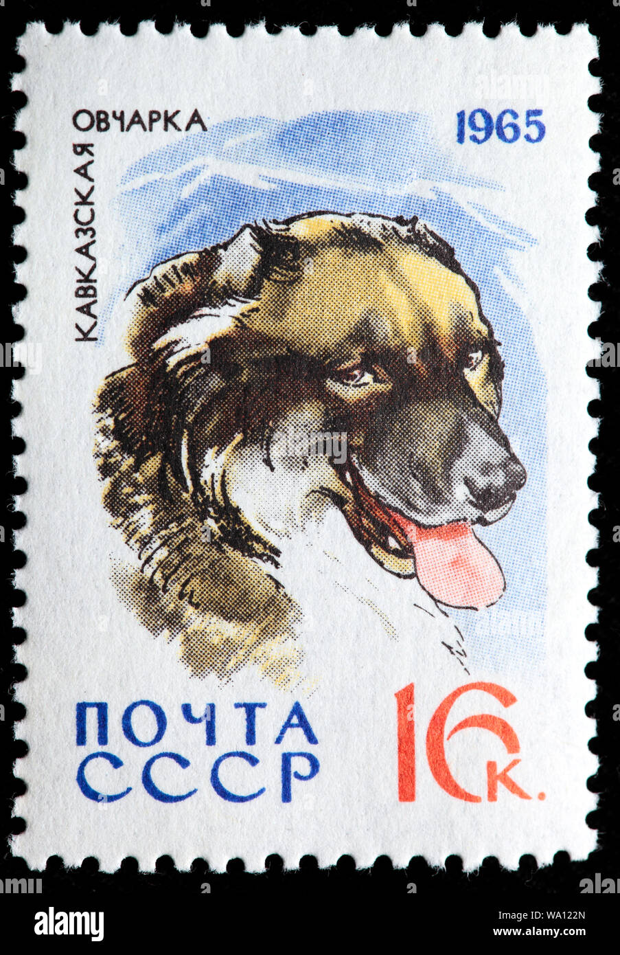 Dog postage stamp hi-res stock photography and images - Alamy