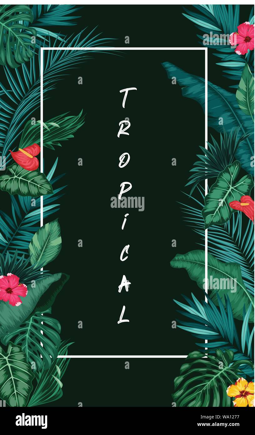 Tropical forest with rectangle frame on black background Stock Vector ...