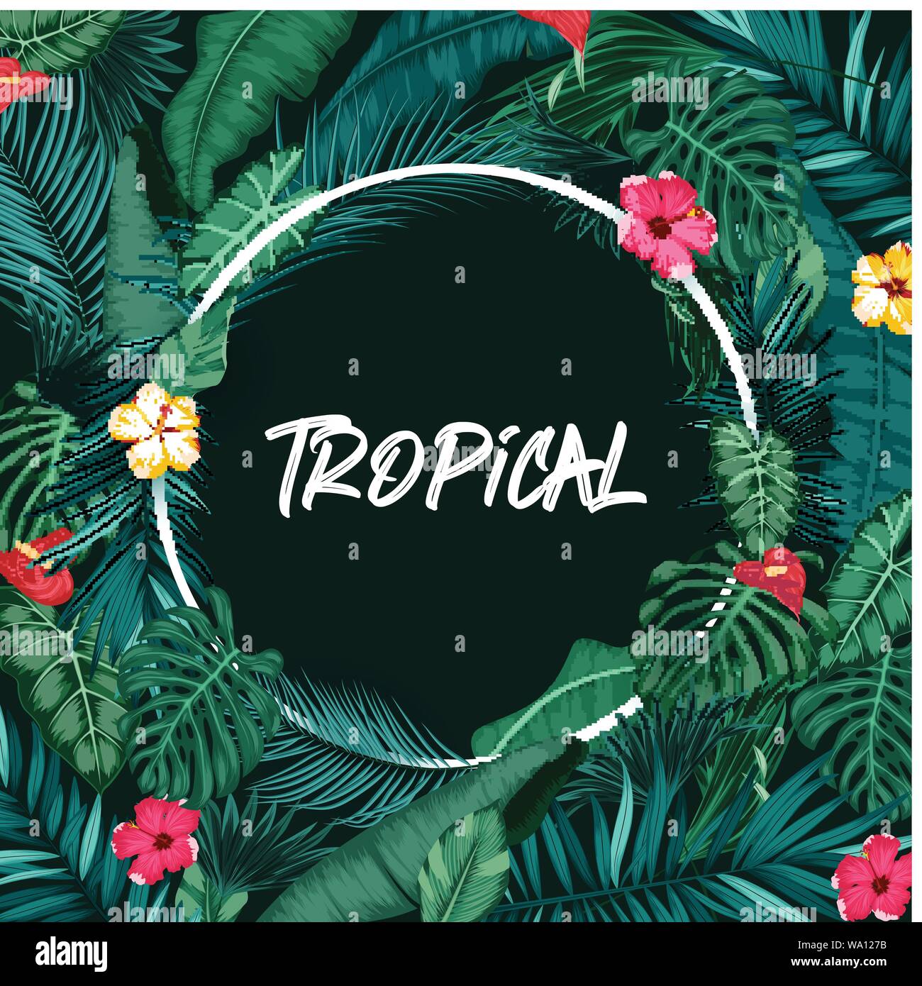 Tropical forest with round frame on black background Stock Vector Image ...