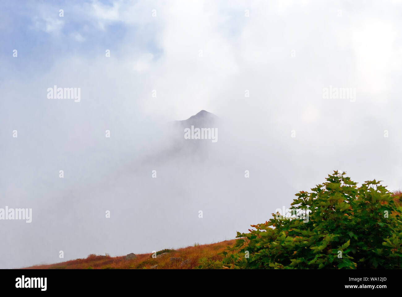 Cone shaped mountains hi-res stock photography and images - Alamy