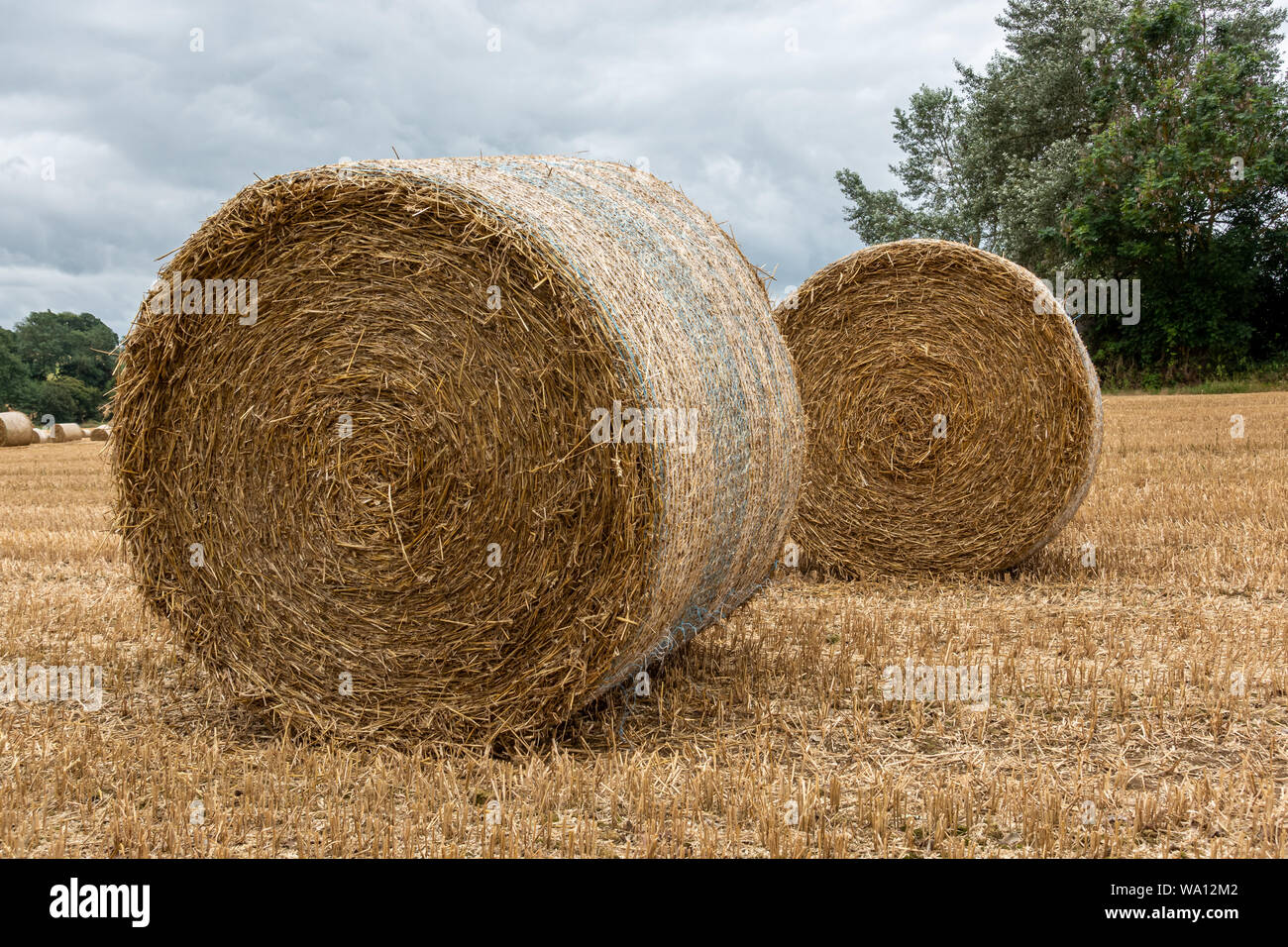 Two hay bails hi-res stock photography and images - Alamy