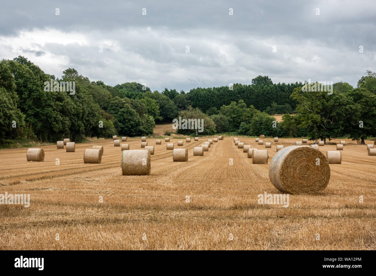 Round bails in a field hi-res stock photography and images - Alamy