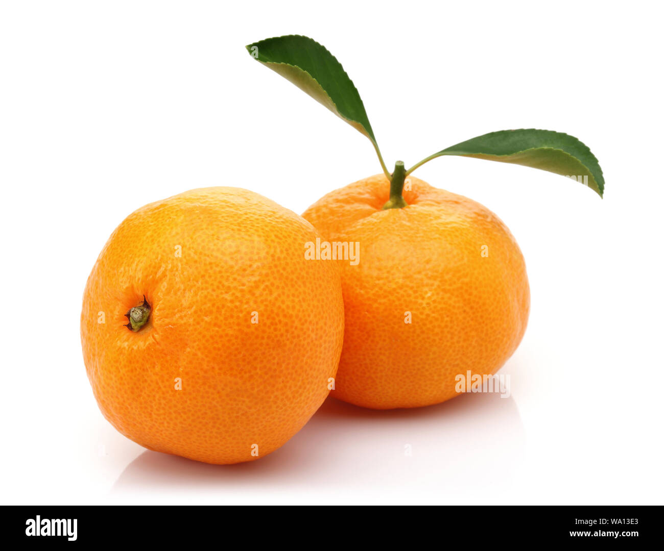 Two whole tangerine with leaves isolated on white background Stock ...
