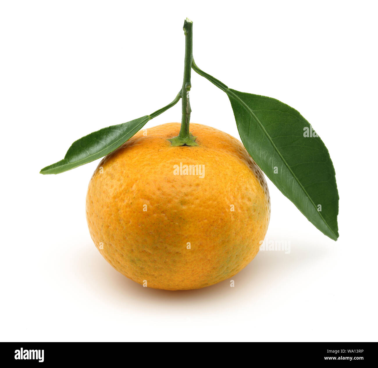 Single fresh tangerine with leaf isolated on white background Stock ...