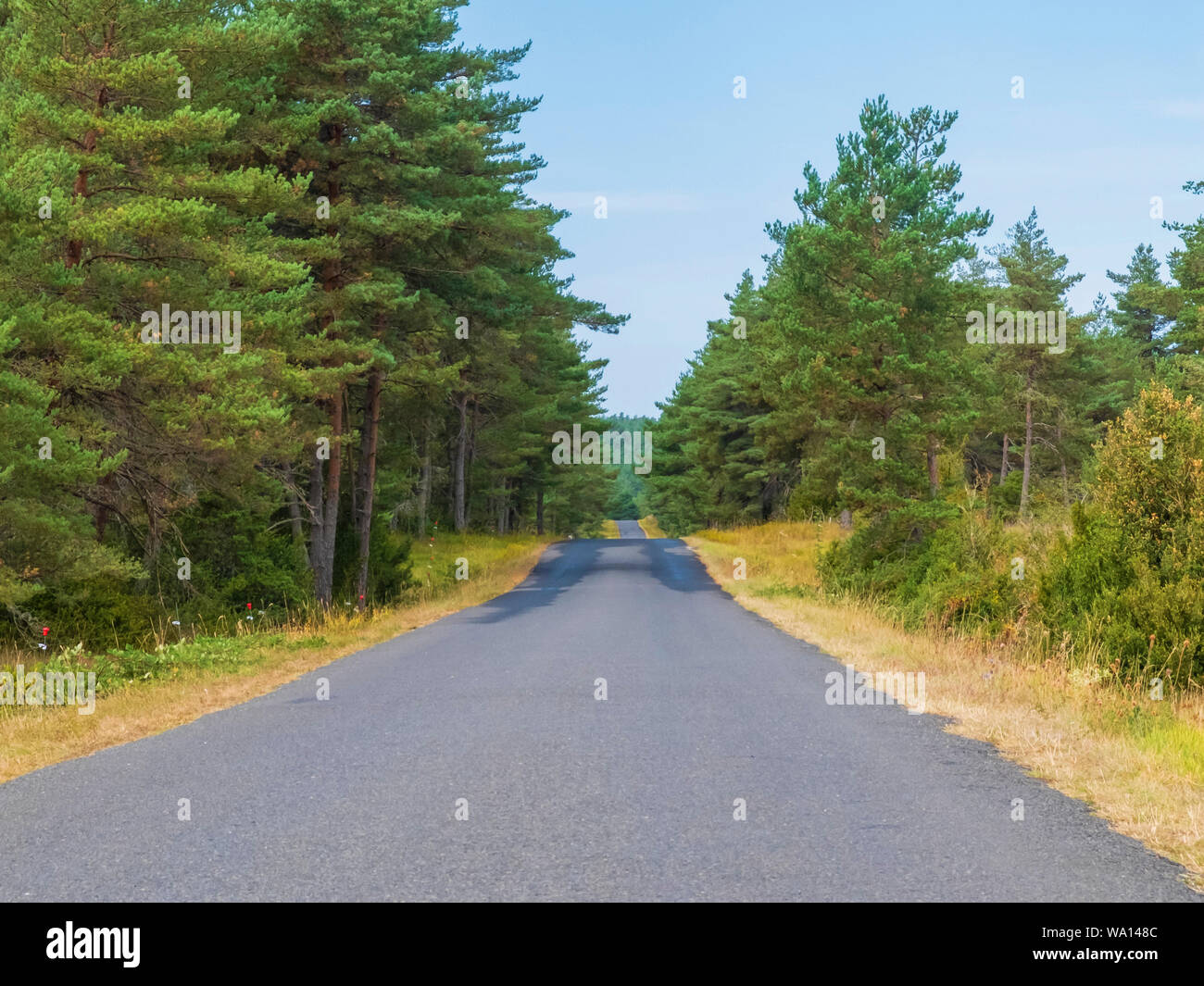 Paved path through woods hi-res stock photography and images - Alamy