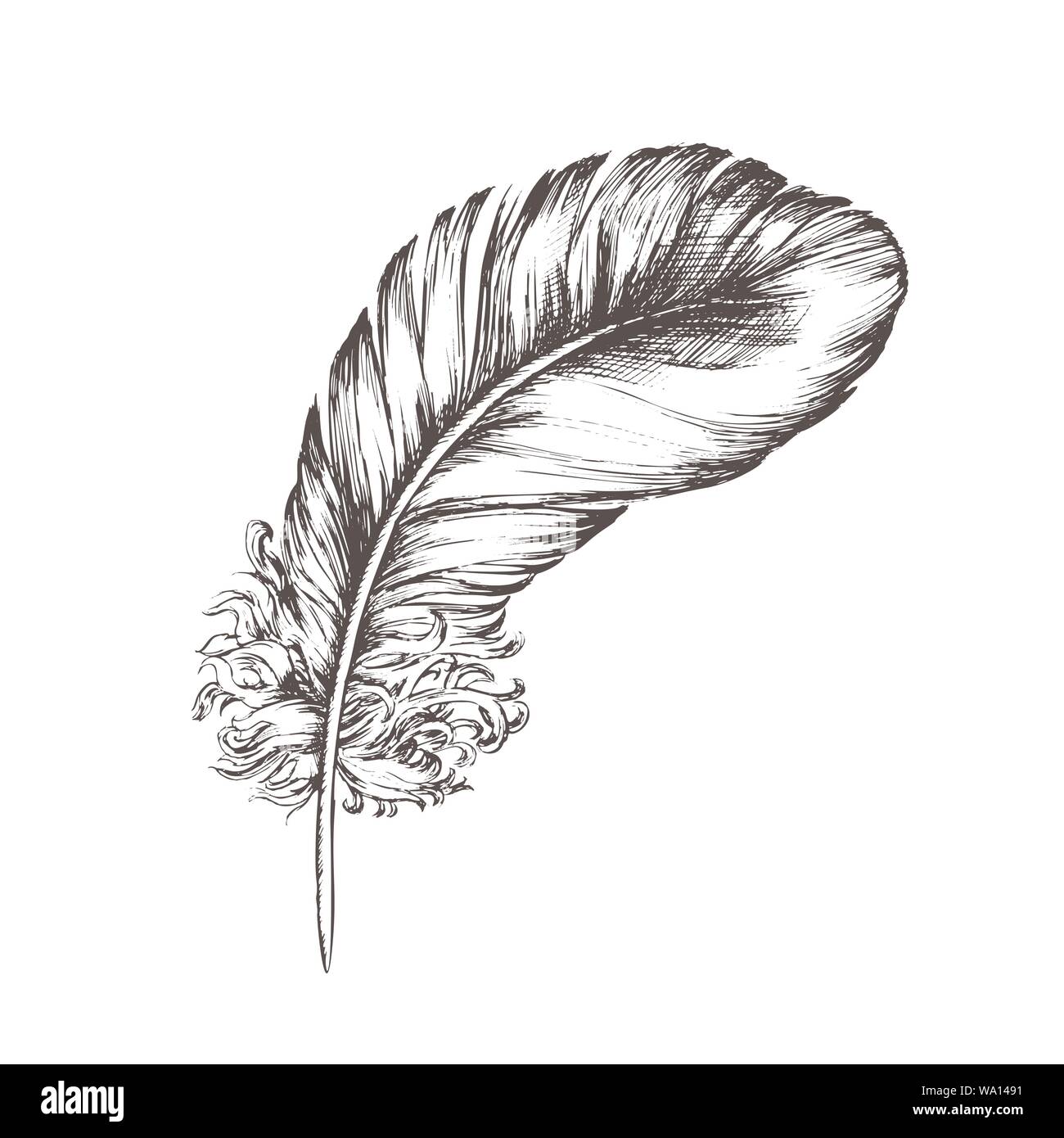 Decorative Bird Flying Element Feather Ink Vector Stock Vector Image ...