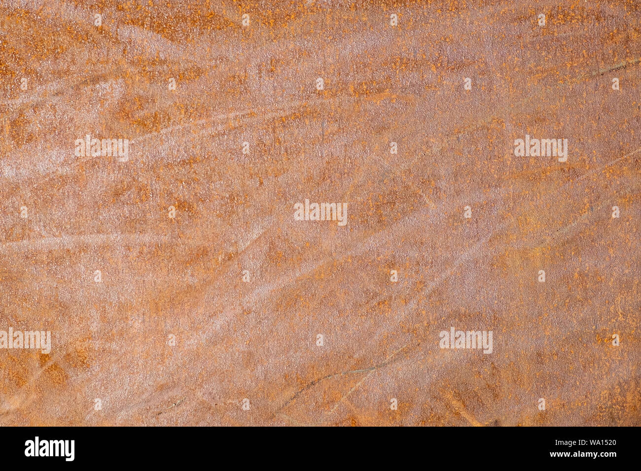 Metal sheet sheep hi-res stock photography and images - Alamy