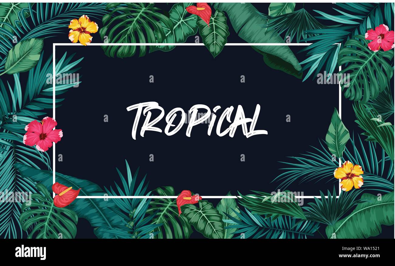 Tropical forest with rectangle frame on blue background Stock Vector ...
